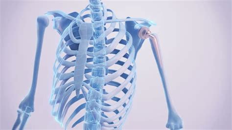 11 Steel Tendons Stock Videos Footage And 4k Video Clips Getty Images