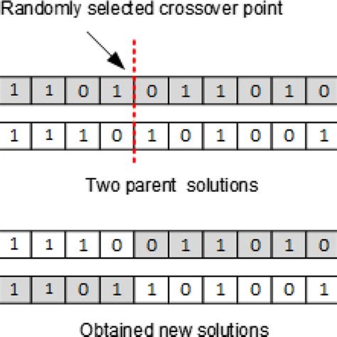 Pseudocode Of Baoa With Sa And Crossover Schema Download Scientific