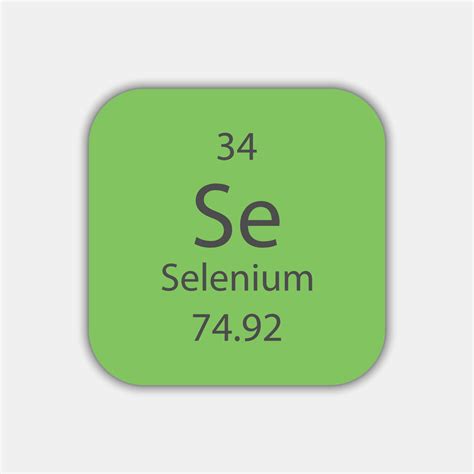 Selenium Symbol Chemical Element Of The Periodic Table Vector