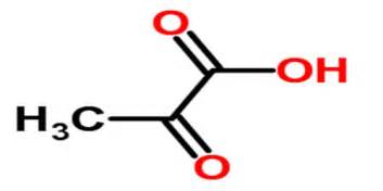 Pyruvic Acid - Assignment Point