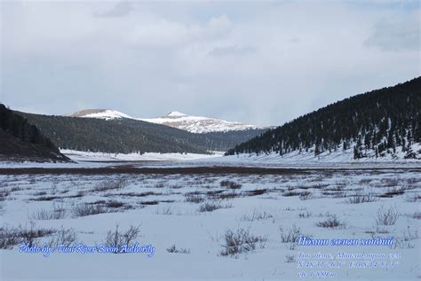 ТУУЛ ГОЛ Туул гол нь Төв аймгийн Мөнгөнморьт сумын нутаг дахь Хан Хэнтийн нурууны салбар уулс
