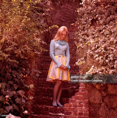 Singer Jackie Deshannon Poses For A Portrait Session On The Beach In