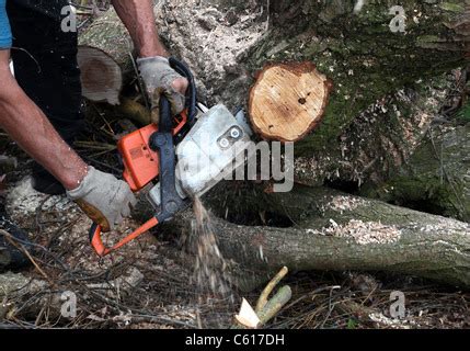 Close Up Of A Man Cutting A Fallen Tree With A Chainsaw Stock Photo 38136506 Alamy