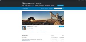 Plugins Pour Compresser Du Code Css Et Javascript Sur Wordpress