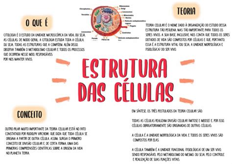 Mapa Mental Estrutura Das Células Pdf Mapa Mental Estrutura Das Células Pdf
