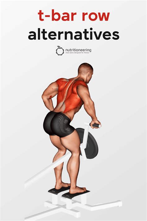 15 Top T Bar Row Alternative Exercises With Videos