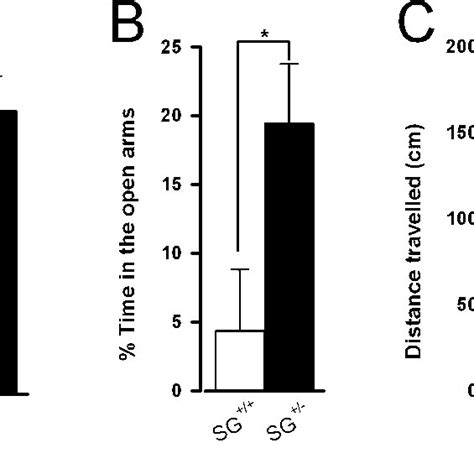 Spontaneous Locomotor Activity In The Open Field Test A Locomotor Download Scientific