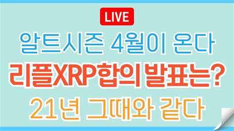 Live🔴 리플xrp와 스텔라 더더더 포기하라~ 어느날 밤 갑자기 비트코인 리플xrp 이더리움 Youtube
