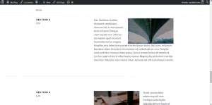 WordPress Themes Vs WordPress Builders Which Should You Choose