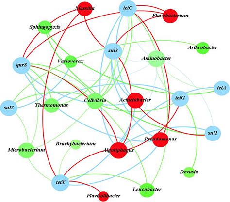 Network Analysis Of The Co Occurrence Of Args And Their Potential Host