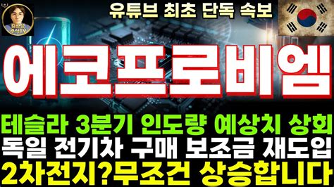 에코프로비엠 주가전망 단독 테슬라 3분기 인도량 예상치 상회 전망 독일 전기차 구매 보조금 재도입 유럽 전기차 시장 턴어라운드 가속 Youtube