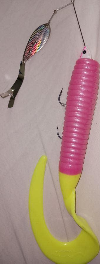 In Cold Weather Try Slow Rolling A Spinner Bait Without The Skirt With A Simple Grub As A