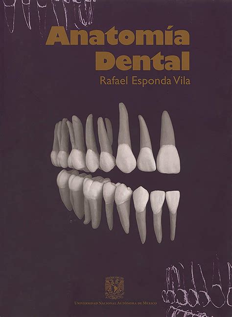 Anatomía Dental Programa Universitario Del Libro De Texto Ebook