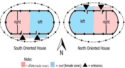 The Position Of Gender Based Zone Refers To The Orientation Of Amu Download Scientific Diagram