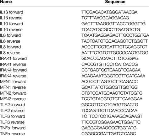 Primers Used For Q Pcr Analyses Download Scientific Diagram