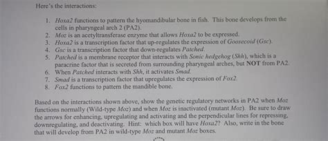 Solved Heres The Interactions 1 Hoxa 2 Functions To