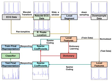 Electrocardiogram Based Biometric Identification Using Mixed Feature Extraction And Sparse