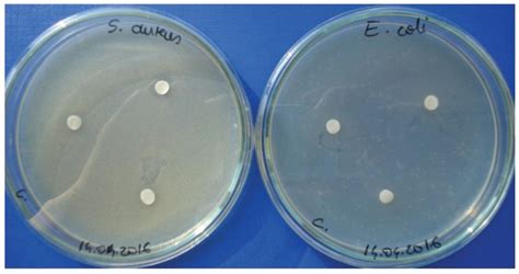 Determination Of Bacterial Sensitivity A Staphylococcus Aureus B Download Scientific