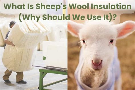 What Is Sheeps Wool Insulation Why Should We Use It Building Renewable