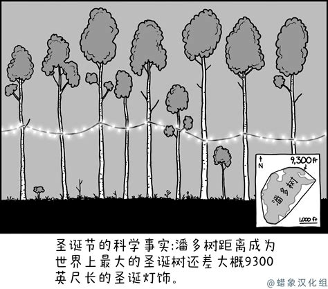 潘多树 Xkcd中文站