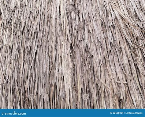 Nipa Hut Stock Images Image