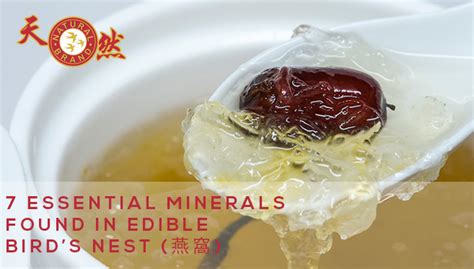 5 Types Of Birds Nest Classification 燕窝