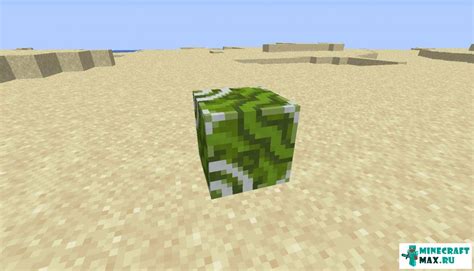 Лаймовая глазурованная керамика Глазурованная керамика Как сделать в Майнкрафт