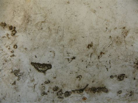 Free Dirty Surface Stock Photo FreeImages Com