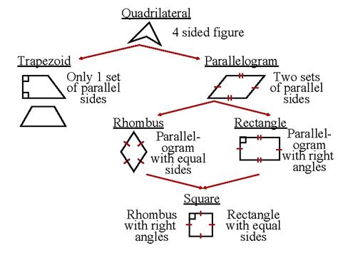 Objective To Classify Quadrilaterals Classifying Quadrilaterals