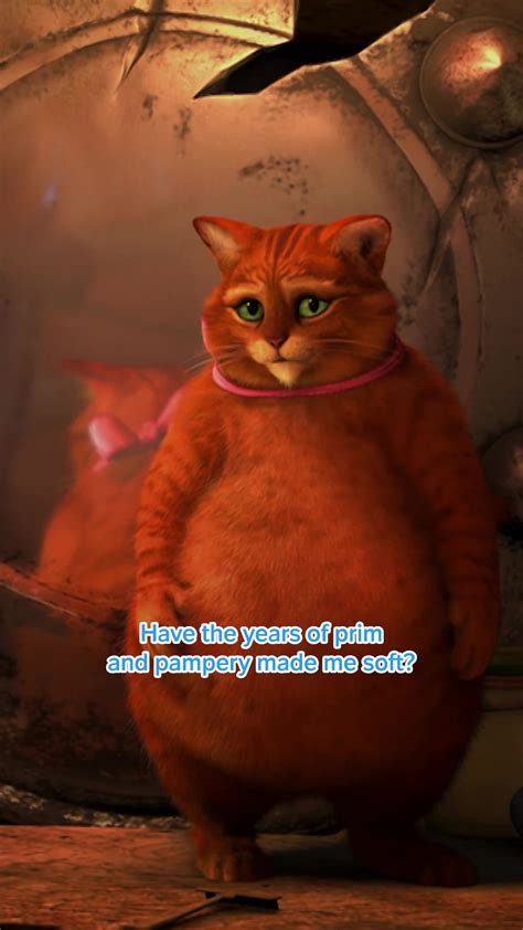 Memes Shrek Cat The Funniest Part Of The Meme Is That Both Pictures
