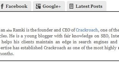 Stylish Fanciest Author Box Widget For Blogger Crackroach