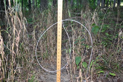 Comparing Correct And Incorrect Sets