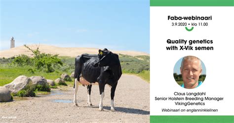 Quality Genetics With X Vik Semen Faba