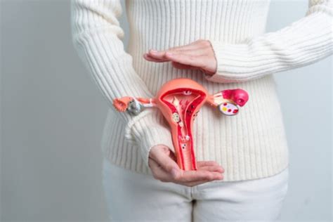 Pap Smear Vs Hpv Test Whats The Difference And Why Both Matter