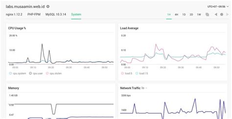 Linux Server System Monitoring Dengan Amplify Nginx • Linux And Open Source