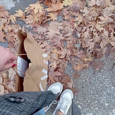 Lab Reports And Christmas Shopping Tumbex