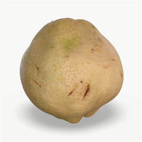 3d Model High Quality Scan Pear 2 Turbosquid 2186626