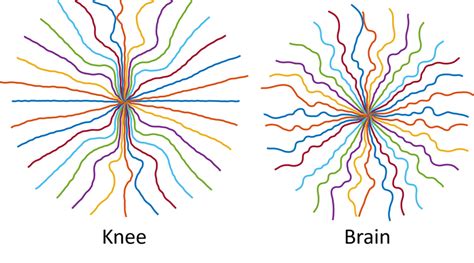 Trajectories Learned From Different Datasets Download Scientific Diagram