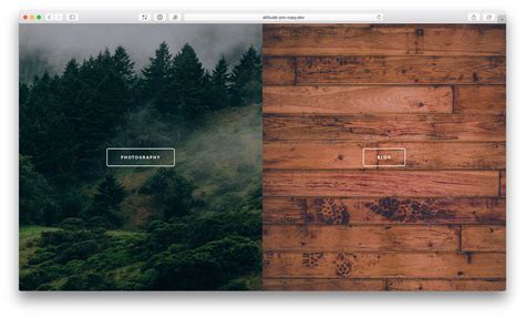 side by side images with centered widget areas in altitude pro s front