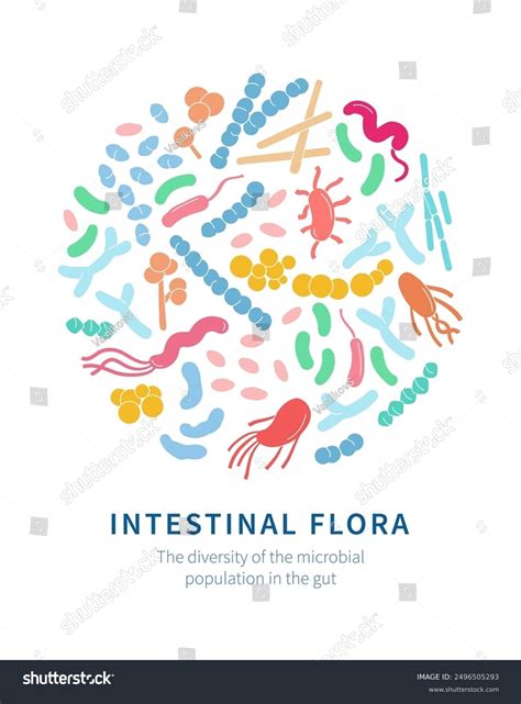 Vector Illustration Microbiome Bacteria Featuring Beneficial Stock