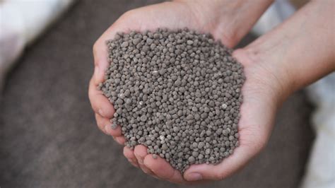 Суперфосфат применение удобрения в саду и огороде формула состав как разводить сколько