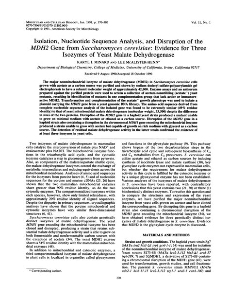 Pdf Isolation Nucleotide Sequence Analysis And Disruption Of The Mdh2 Gene From