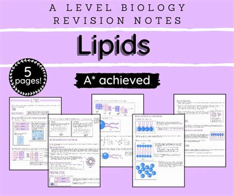 A Level Biology Revision Notes Lipids Etsy
