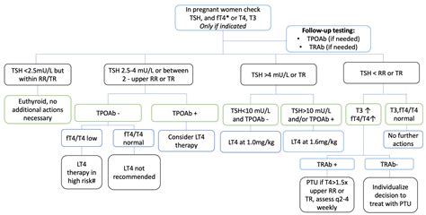 The Thyroid Hormone Axis And Female Reproduction