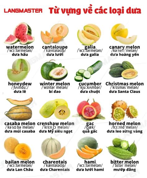 Top Trái Thơm Tiếng Anh Update