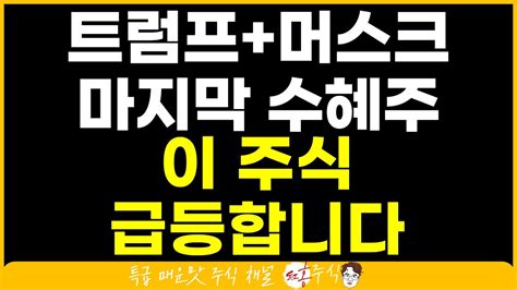 트럼프머스크 마지막 수혜주 이 주식 급등합니다 Youtube