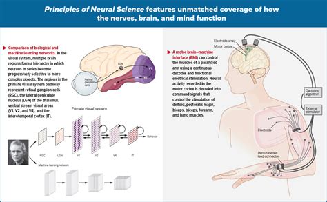 Principles Of Neural Science Sixth Edition 9781259642234 Medicine Health Science Books