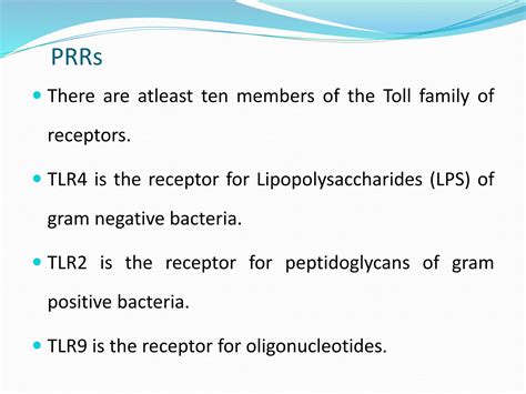 Pathogen Associated Molecular Patterns Pamps 2024 Notes Pptx