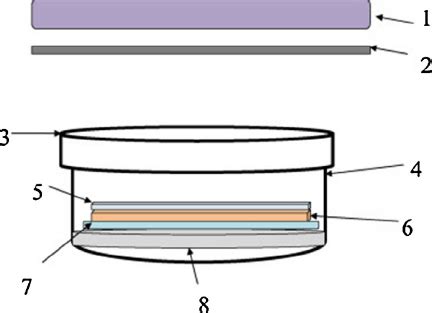 Experimental Set Up For Sample Irradiation UV Light Source Download Scientific Diagram