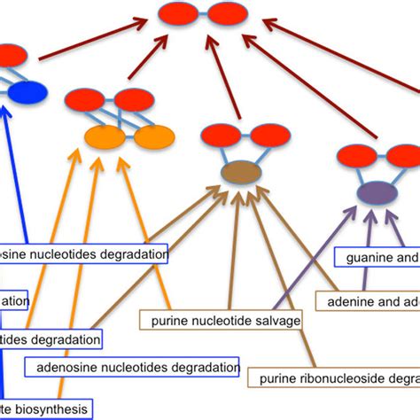 A Hierarchical View Of The Maximal Bipartite Interaction Graph The
